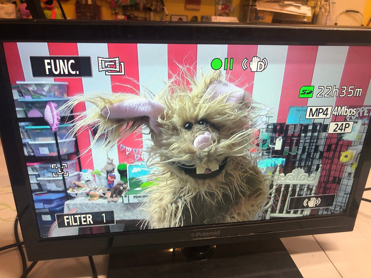 Puppetry For Camera (Television and Monitor Puppetry) – Puppet Pie